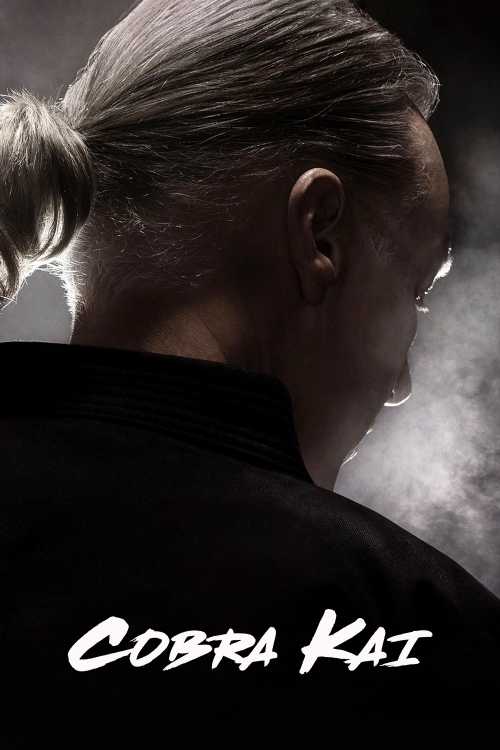 Cobra Kai 2018 Sevi The Poster Database Tpdb